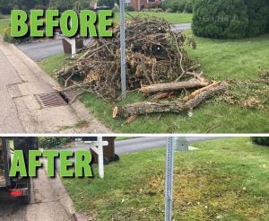Before and After: Cincinnati Storm Debris Yard Clean Up